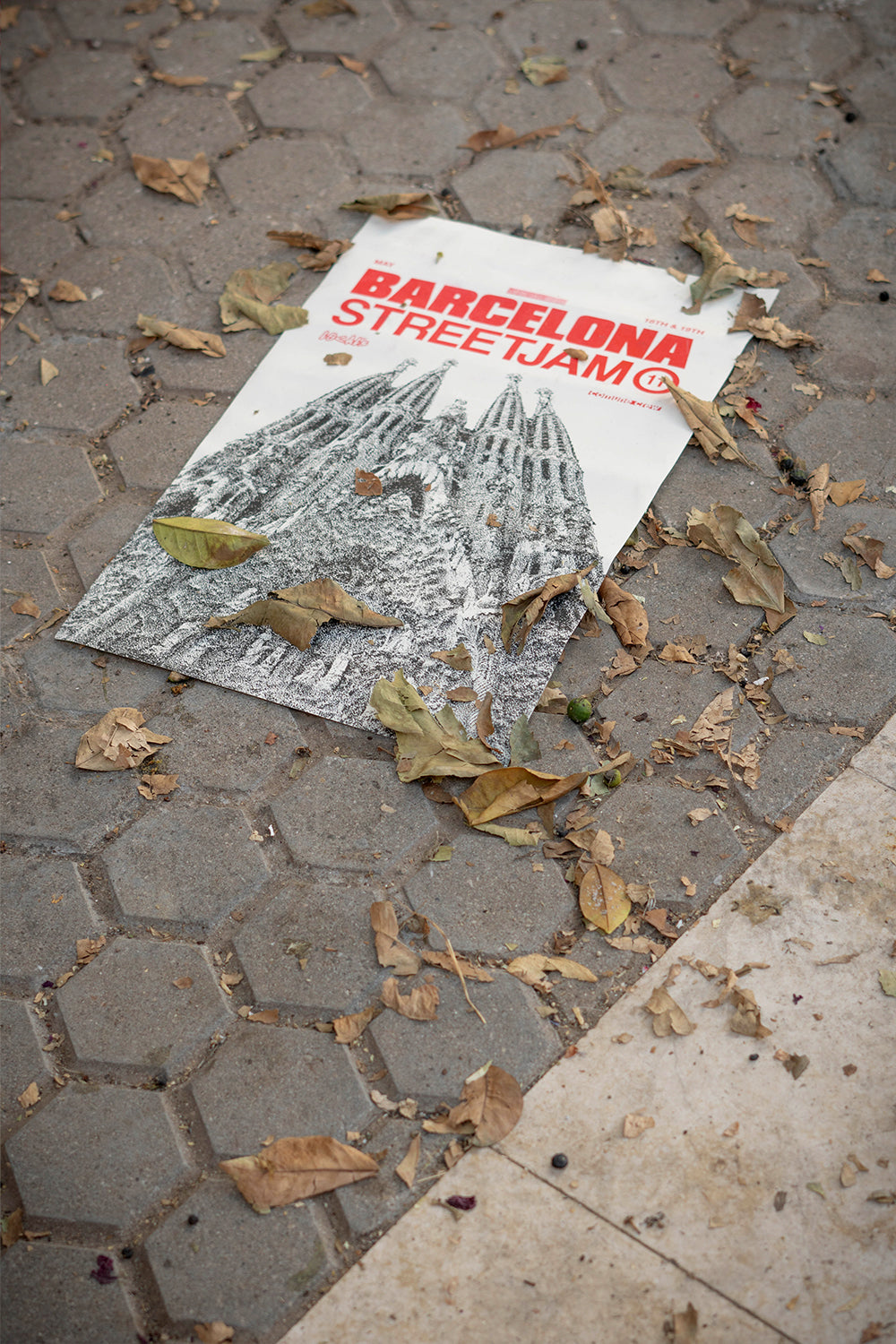 POSTERS – The Locals Company